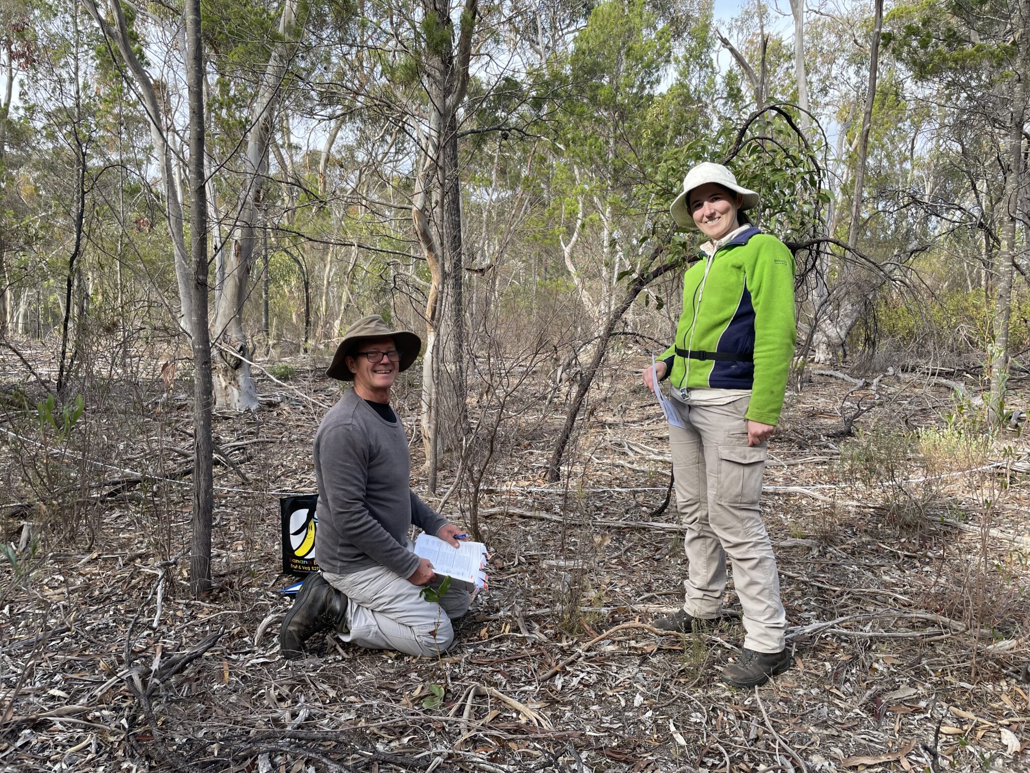Bushland health and condition - Nature Conservation Society of South ...